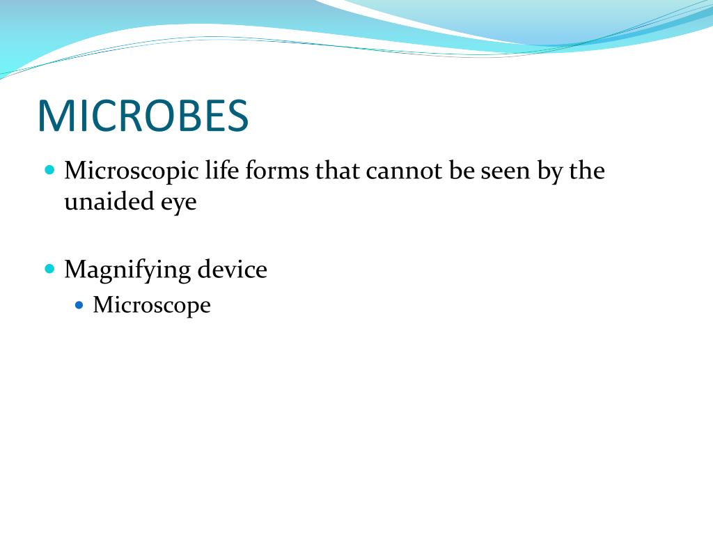 PPT - MICROBES PowerPoint Presentation, free download - ID:3125262
