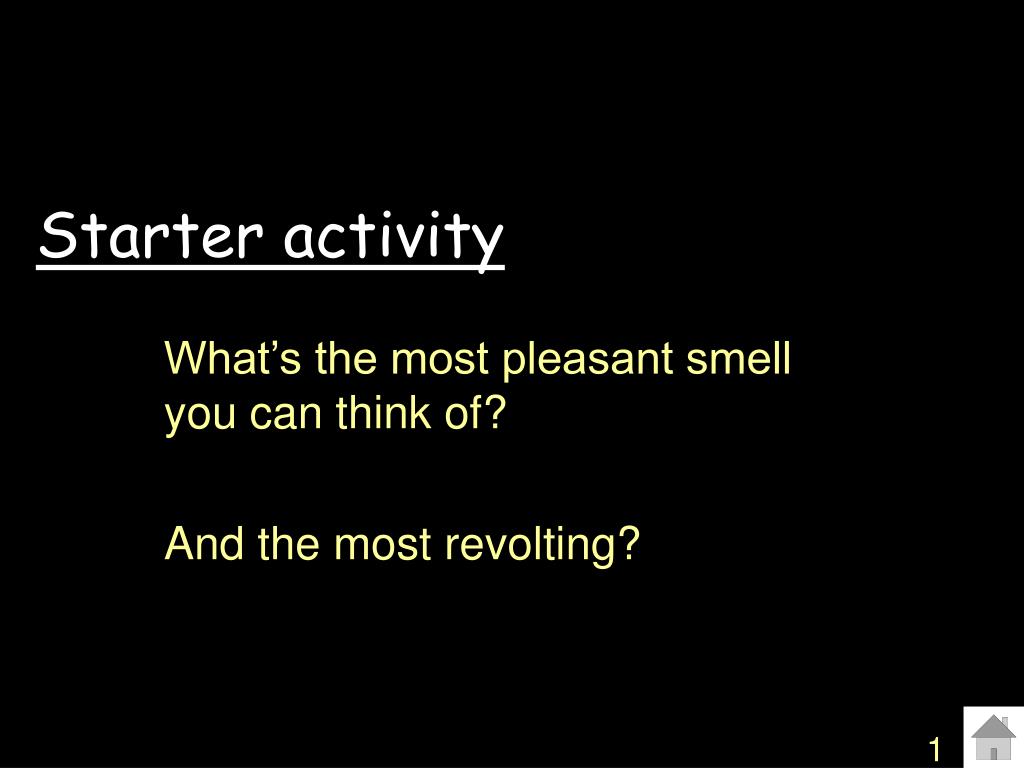 PPT - Starter activity PowerPoint Presentation, free download - ID:3125569