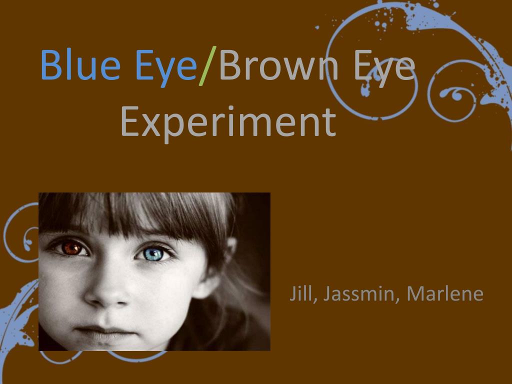 PPT - Blue Eye / Brown Eye Experiment PowerPoint Presentation, free ...