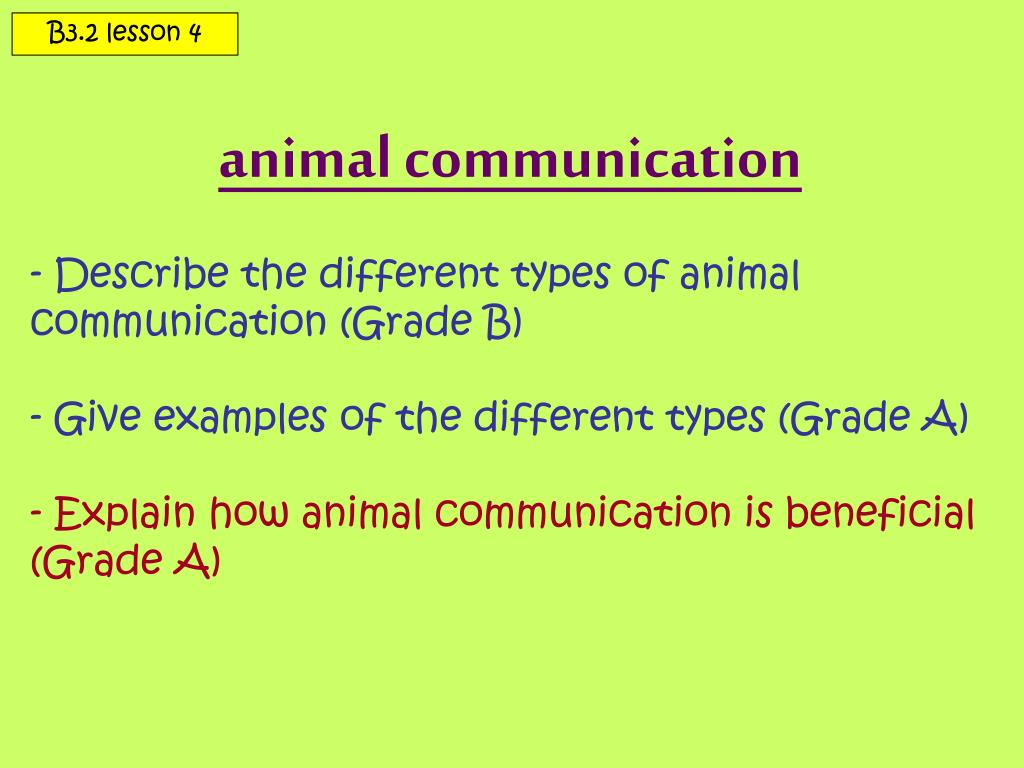 PPT - animal communication PowerPoint Presentation, free download - ID ...