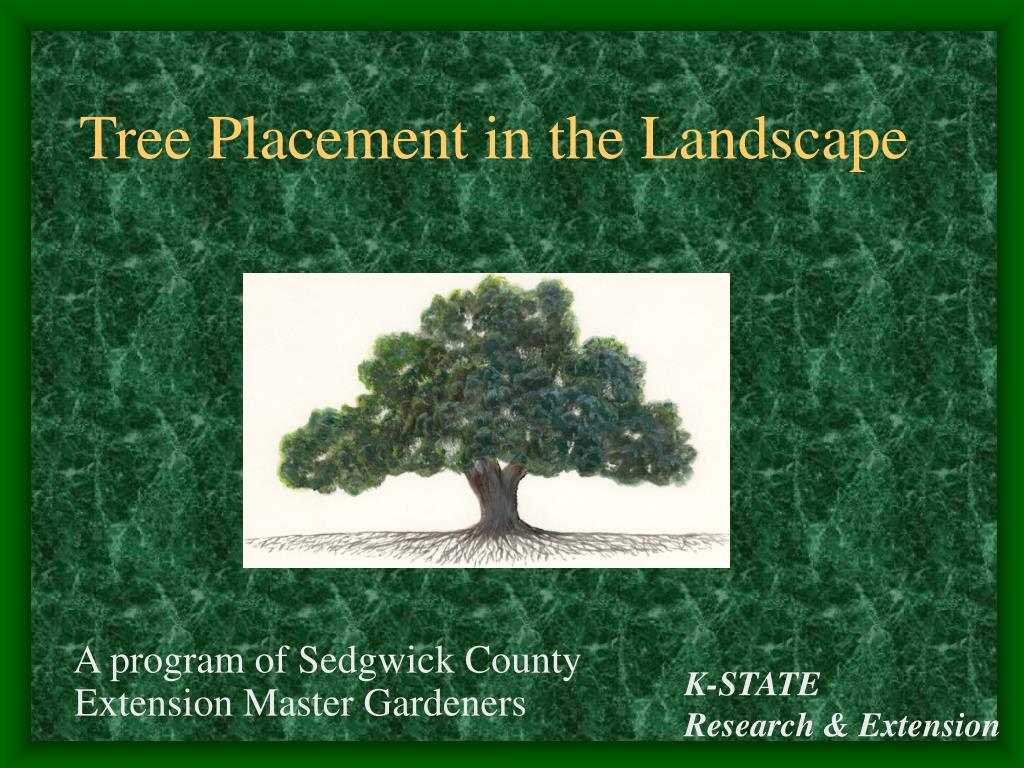 PPT - Tree Placement in the Landscape PowerPoint Presentation, free ...
