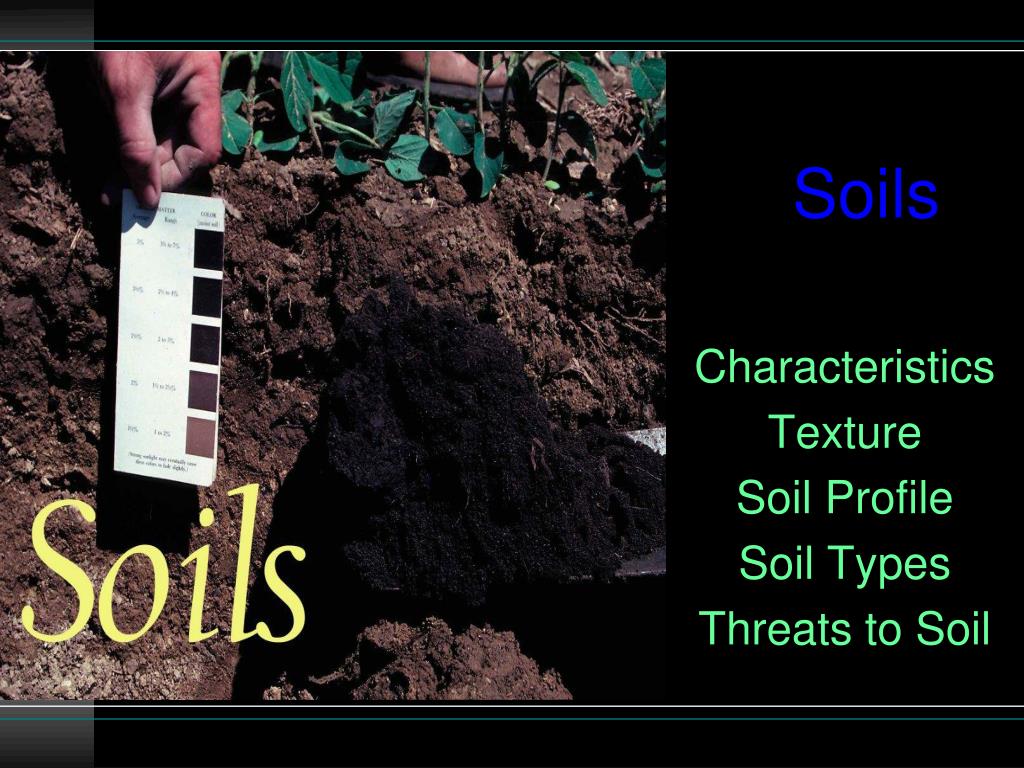 PPT - Soils PowerPoint Presentation, free download - ID:3128581