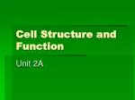 PPT - Bacterial Cell Structure and Function Part 2: cell envelope and ...