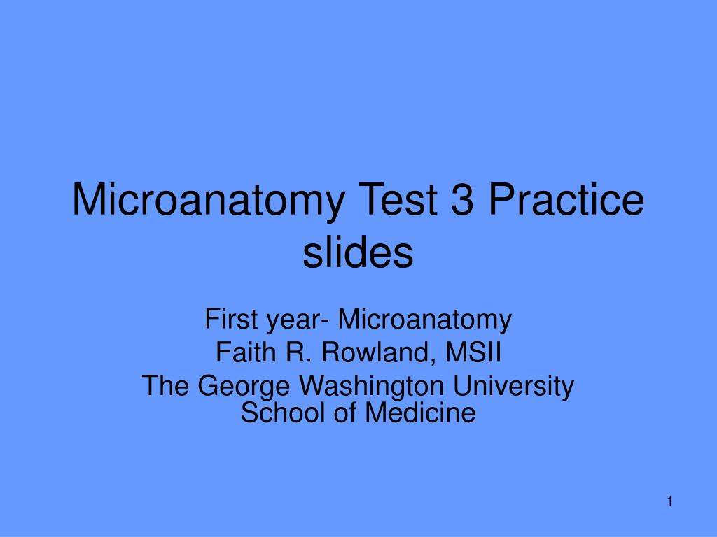 PPT - Microanatomy Test 3 Practice slides PowerPoint Presentation, free ...