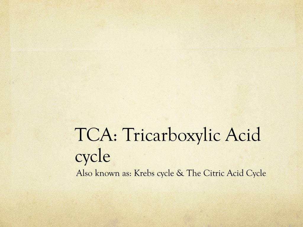 PPT - TCA: Tricarboxylic Acid cycle PowerPoint Presentation, free ...