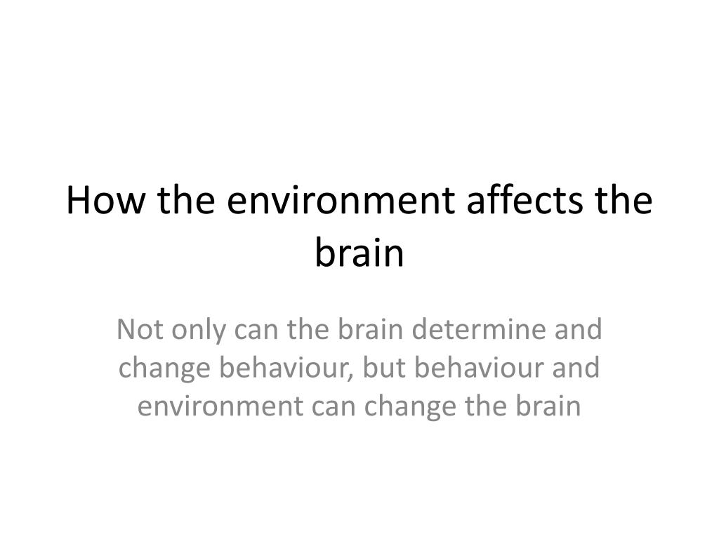 PPT - How the environment affects the brain PowerPoint Presentation ...