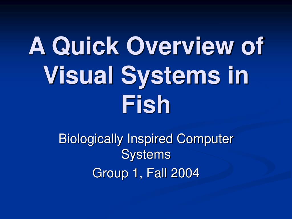 PPT - A Quick Overview of Visual Systems in Fish PowerPoint ...