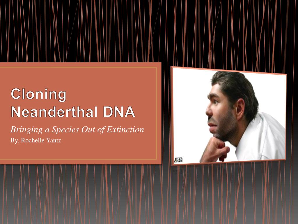 PPT - Cloning Neanderthal DNA PowerPoint Presentation, free download ...
