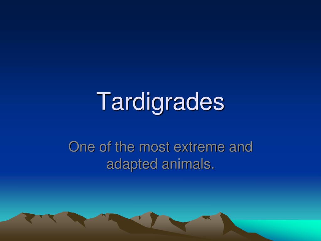 PPT - Tardigrades PowerPoint Presentation, free download - ID:3135692