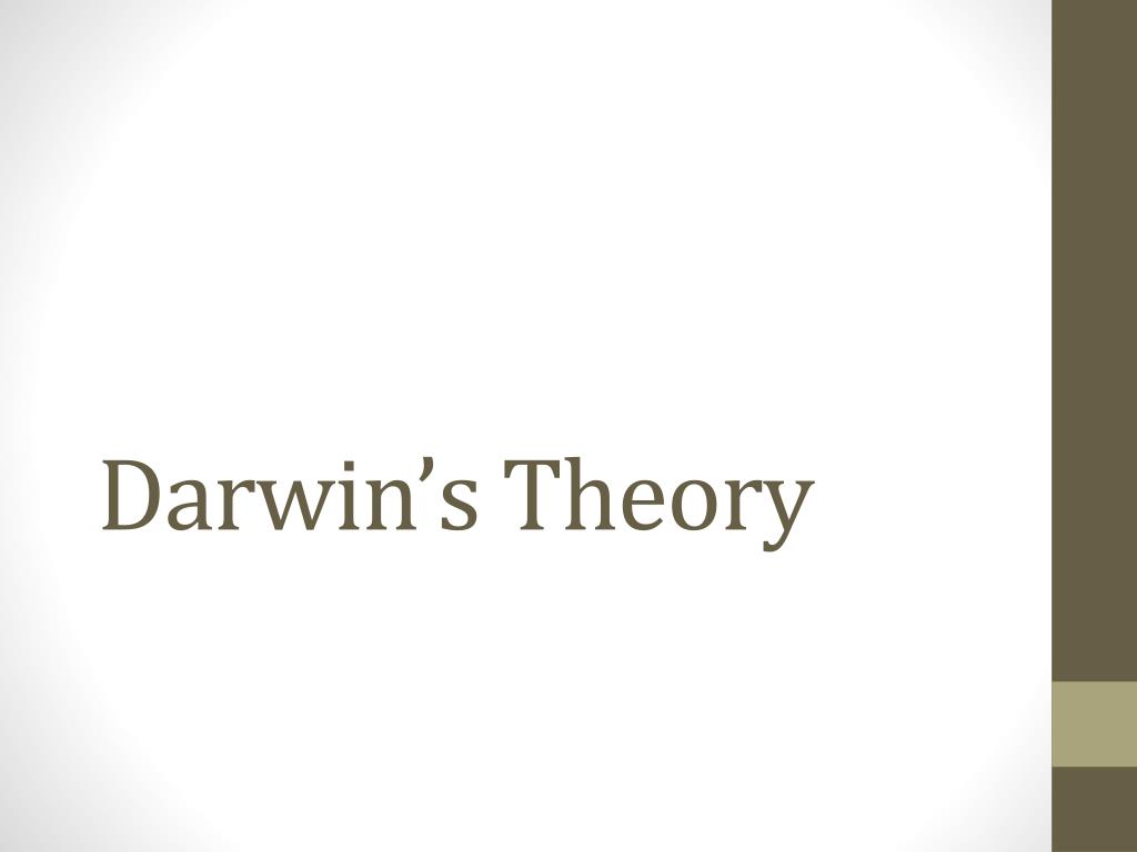 PPT - Darwin’s Theory PowerPoint Presentation, free download - ID:3136966