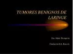 PPT - Tumores rectocolónicos PowerPoint Presentation, free download ...