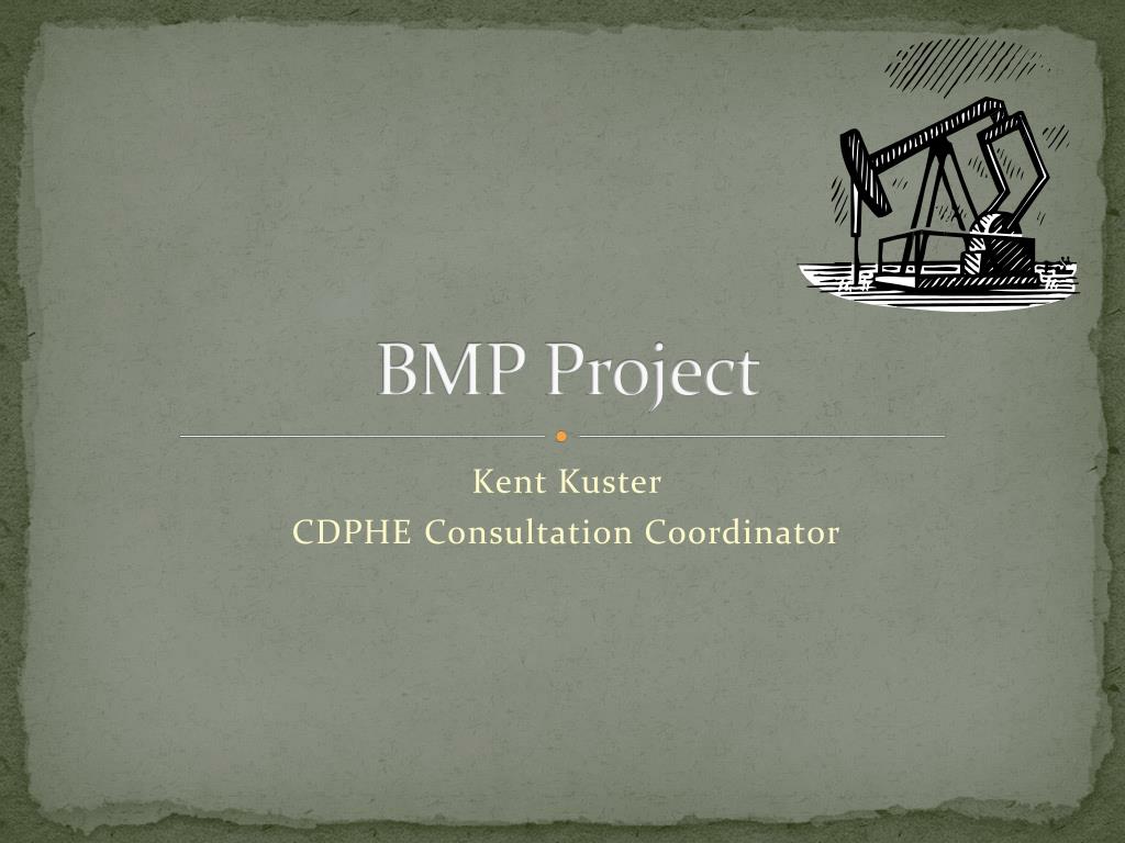 PPT - BMP Project PowerPoint Presentation, free download - ID:3139400