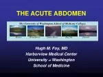 PPT - The Acute Abdomen PowerPoint Presentation, free download - ID:173923