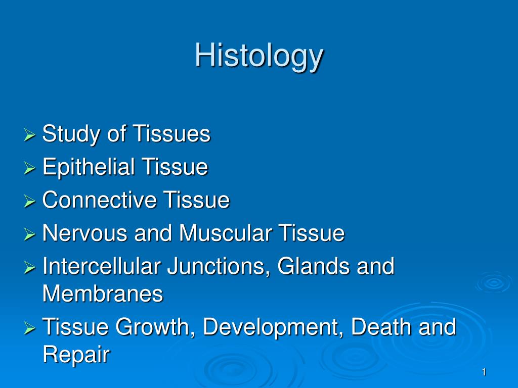 PPT - Histology PowerPoint Presentation, free download - ID:3142862