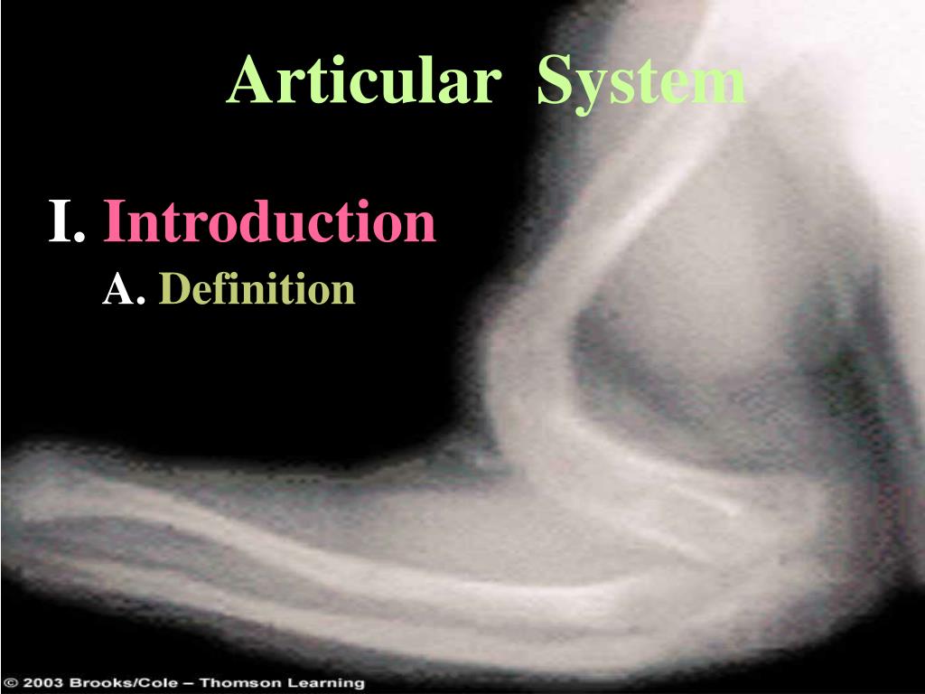 PPT - Articular System PowerPoint Presentation, free download - ID:3143022