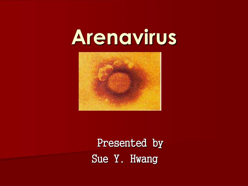 PPT - Arenavirus PowerPoint Presentation, free download - ID:3145078
