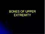 PPT - The Bones of Upper Limbs Medical College of Jiujiang University ...