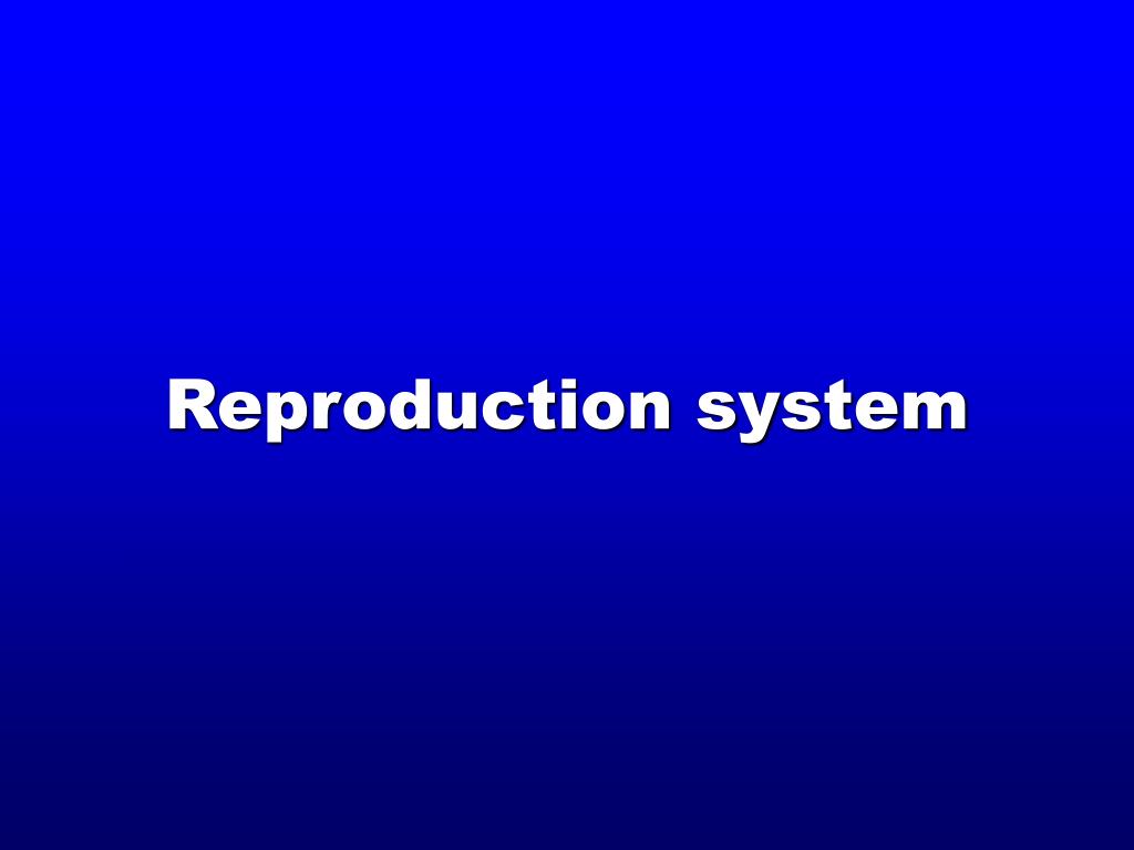 PPT - Reproduction system PowerPoint Presentation, free download - ID ...