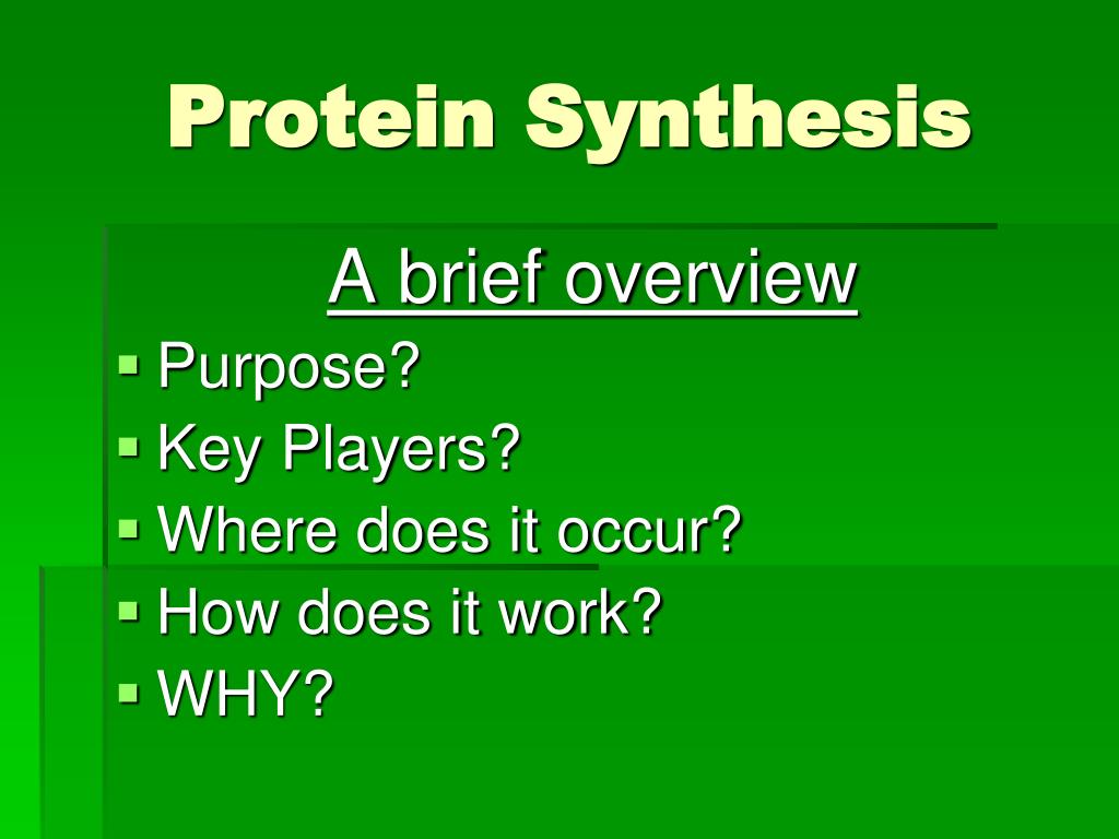 PPT - Protein Synthesis PowerPoint Presentation, free download - ID:3147916