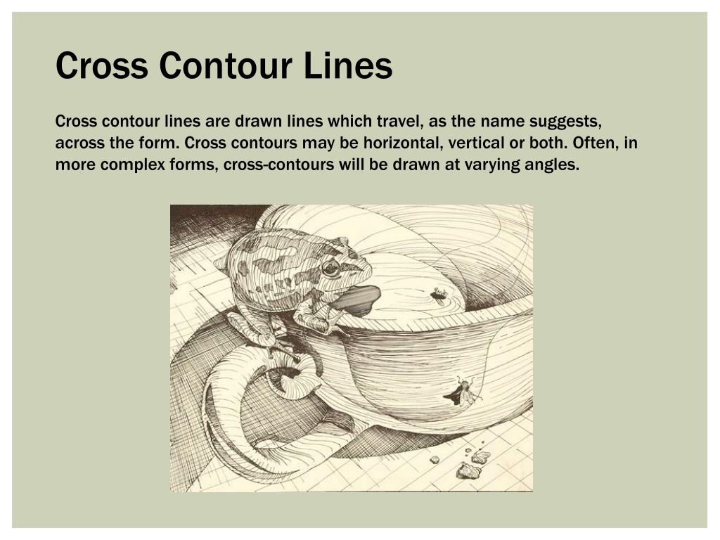 PPT - Cross Contour Lines PowerPoint Presentation, free download - ID ...