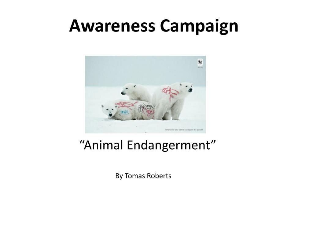 PPT - Awareness Campaign PowerPoint Presentation, free download - ID ...
