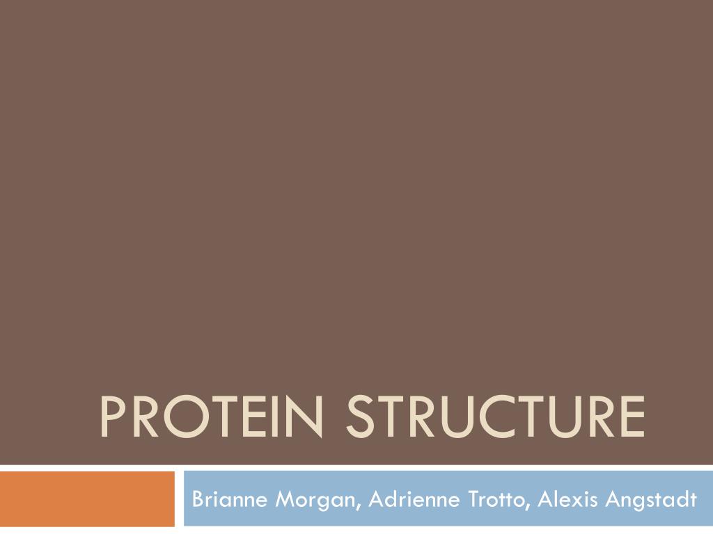 PPT - Protein Structure PowerPoint Presentation, free download - ID:3148295