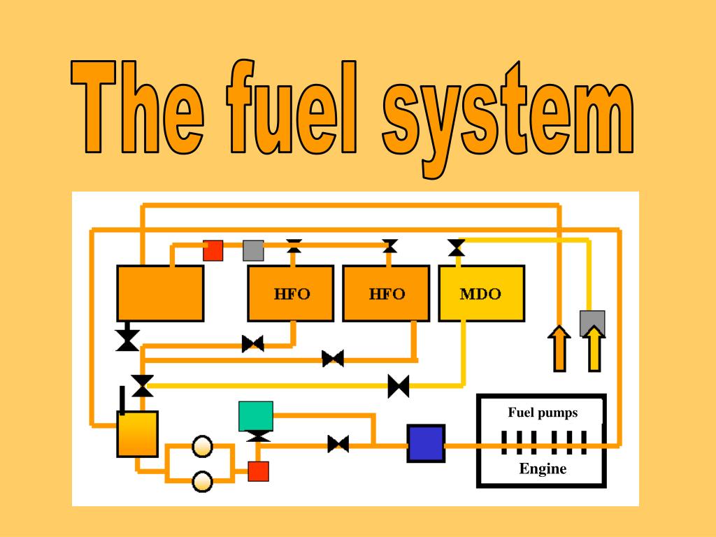 PPT - The fuel system PowerPoint Presentation, free download - ID:3149399