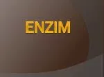 PPT - ENZIM PowerPoint Presentation, free download - ID:3095966