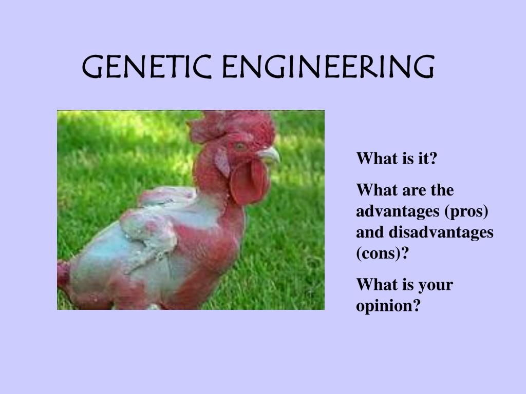 PPT - Understanding Genetic Engineering: Pros and Cons of Genetic ...