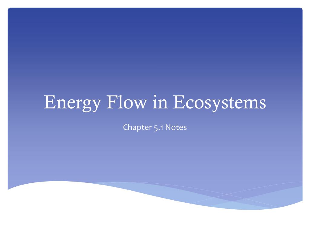 PPT - Energy Flow in Ecosystems PowerPoint Presentation, free download ...