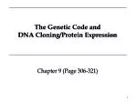PPT - DNA and the Genetic Code PowerPoint Presentation, free download - ID:4293865