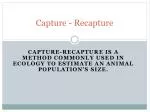 PPT - The battle to recapture Mosul PowerPoint Presentation, free ...