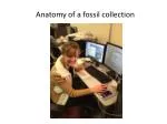 PPT - Fossil Collection and Curation PowerPoint Presentation, free ...