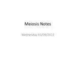 PPT - Meiosis Guided Notes PowerPoint Presentation, free download - ID ...