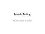 PPT - Principles of Manual Muscle Testing PowerPoint Presentation, free ...