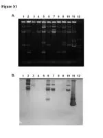 PPT - S1 Science PowerPoint Presentation, free download - ID:6917583