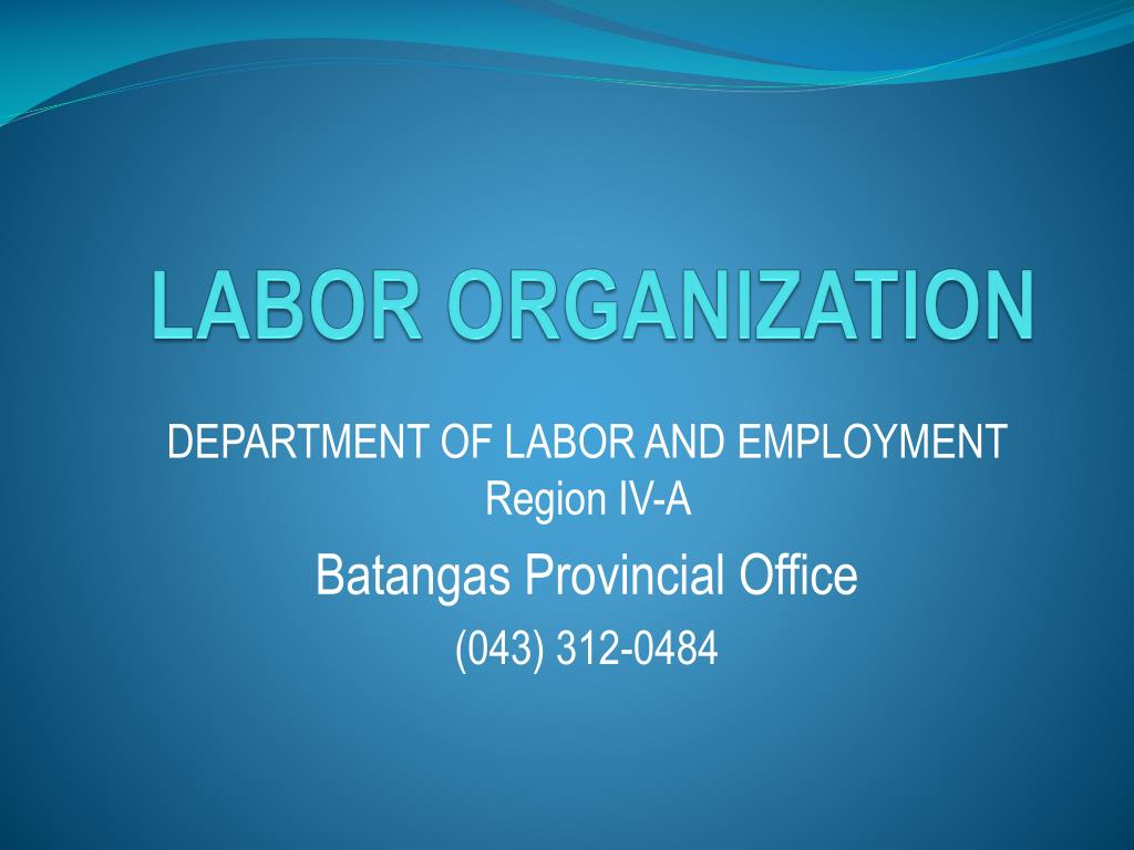 PPT - LABOR ORGANIZATION PowerPoint Presentation, free download - ID ...
