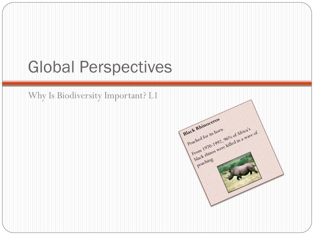 PPT - Global Perspectives PowerPoint Presentation, free download - ID ...