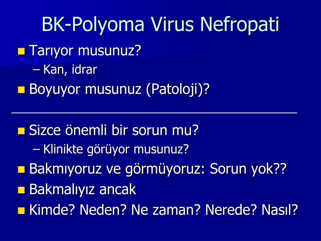 PPT - BK- Polyoma Virus Nefropati PowerPoint Presentation, free download - ID:3196512