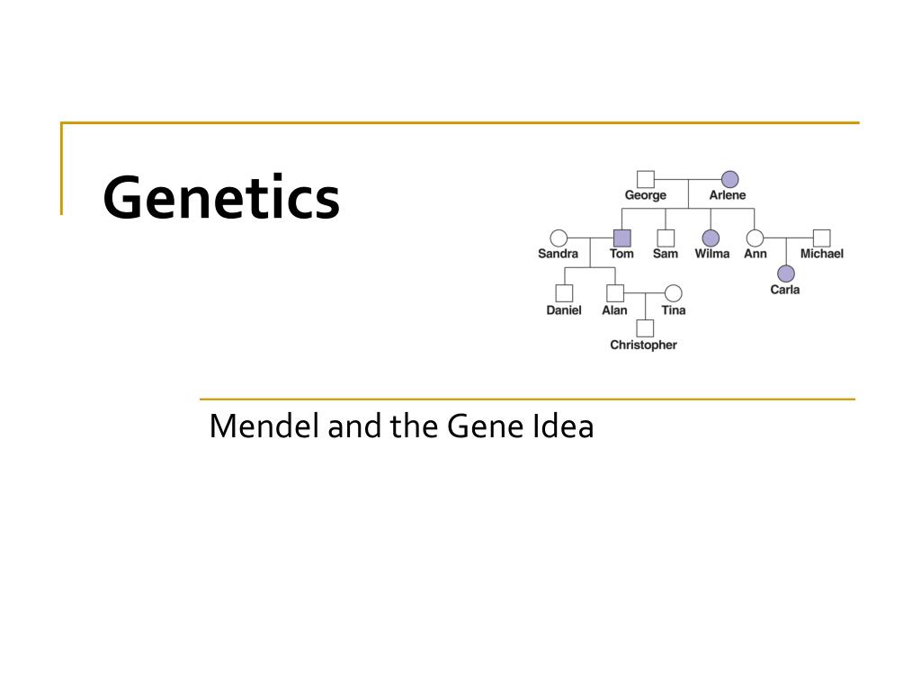 PPT - Genetics PowerPoint Presentation, free download - ID:3196736