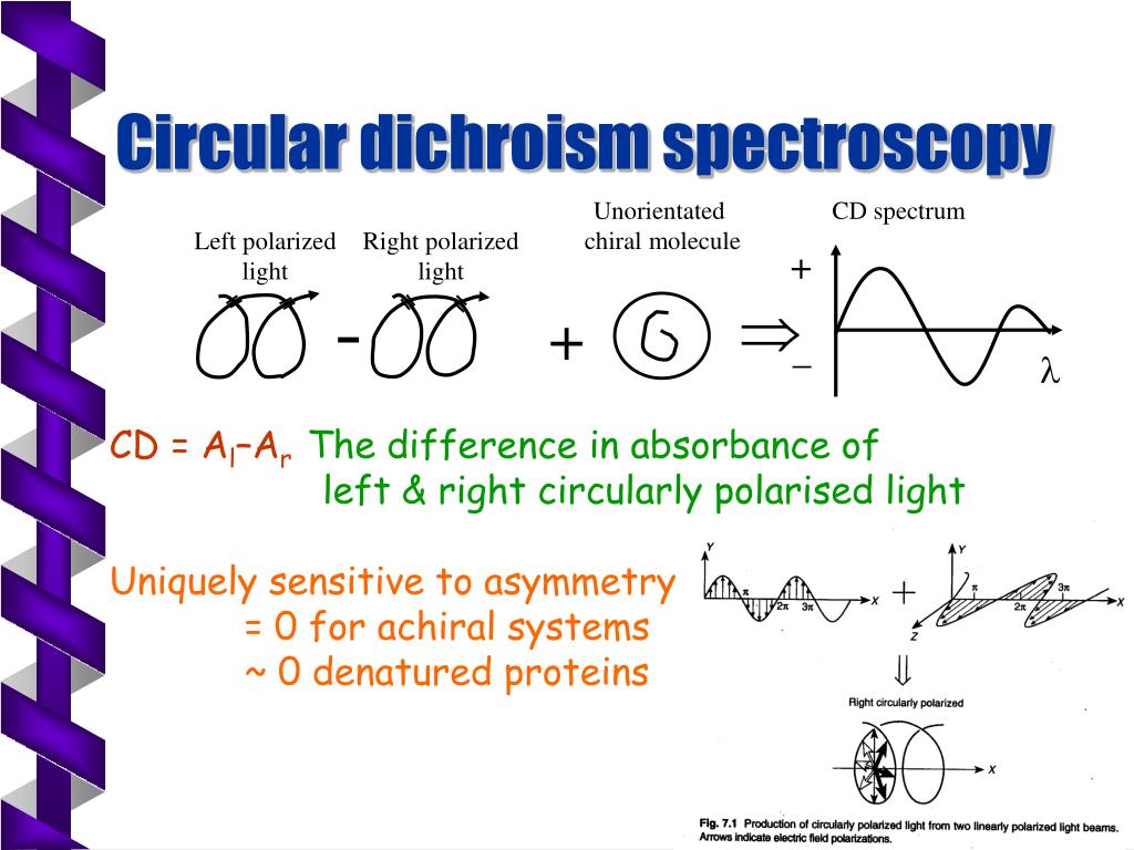 PPT - Circular dichroism spectroscopy PowerPoint Presentation, free ...