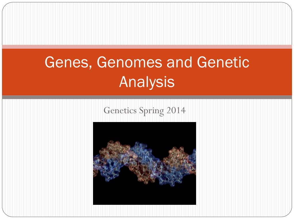 PPT - Genes, Genomes and Genetic Analysis PowerPoint Presentation, free ...