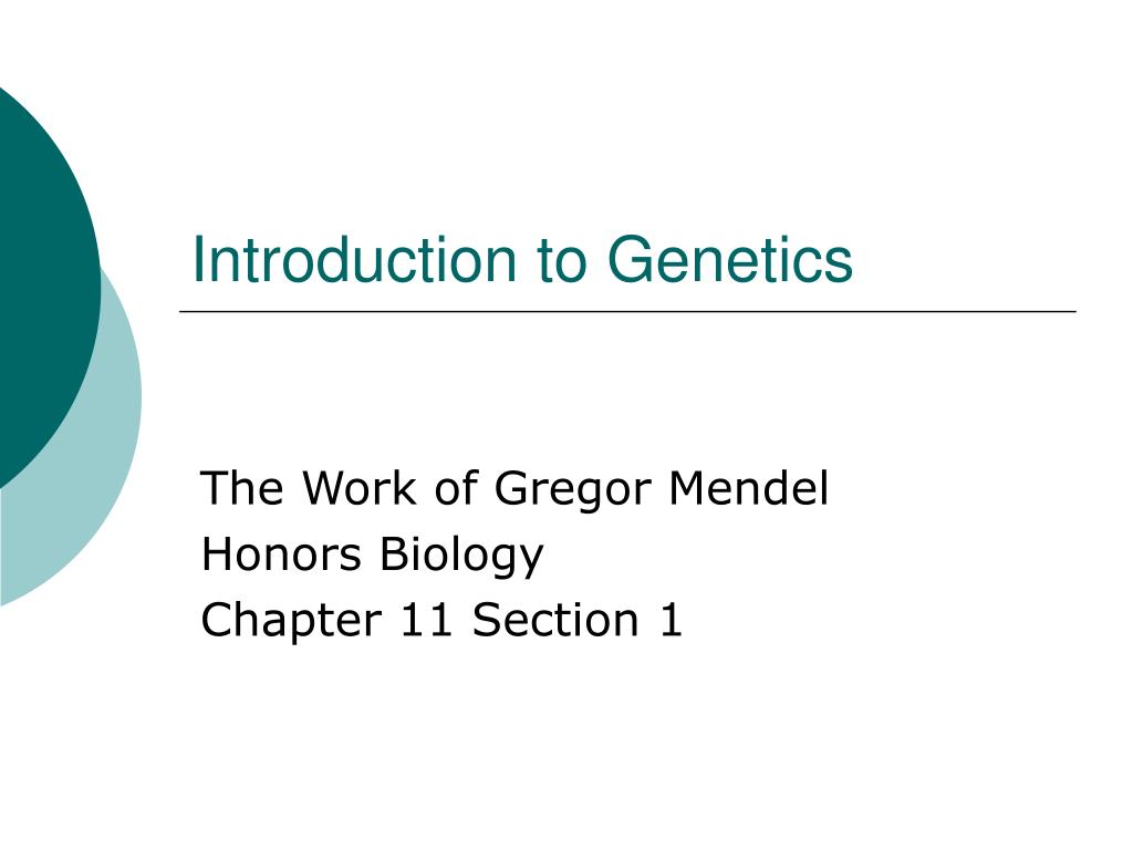 PPT - Introduction to Genetics PowerPoint Presentation, free download ...