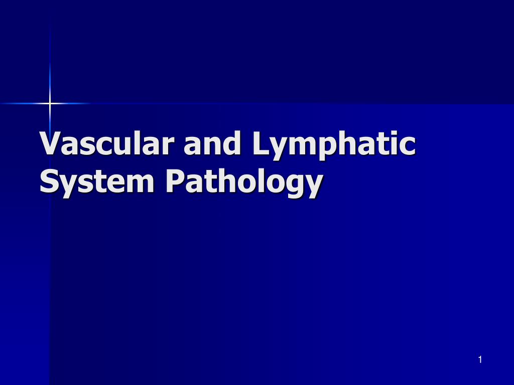 PPT - Vascular and Lymphatic System Pathology PowerPoint Presentation ...