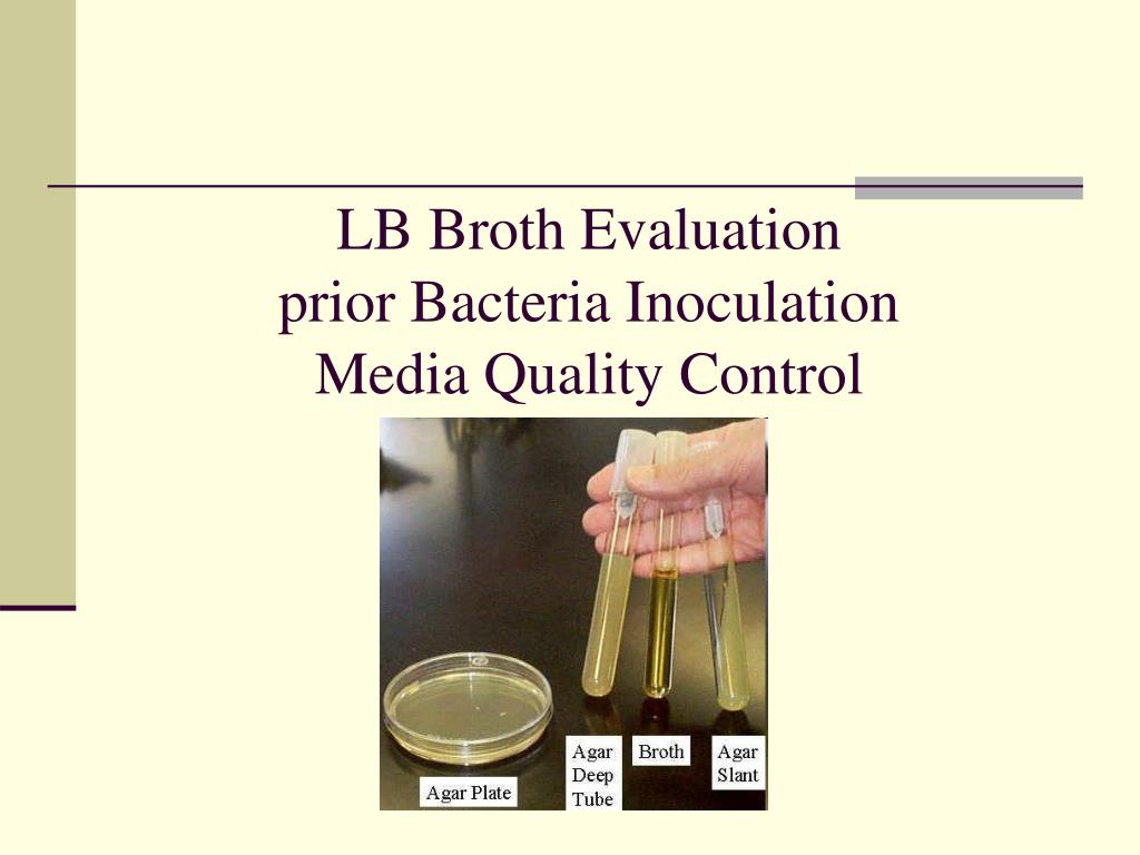 PPT - LB Broth Evaluation prior Bacteria Inoculation Media Quality ...