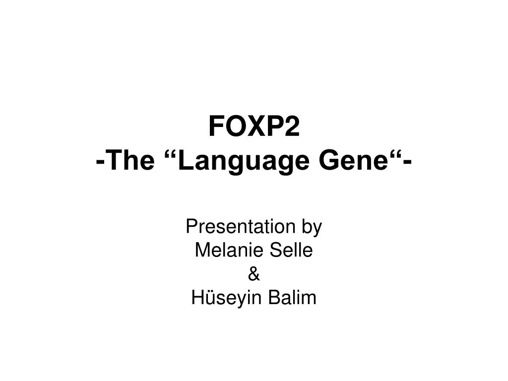 PPT - FOXP2 -The “Language Gene“- PowerPoint Presentation, free ...