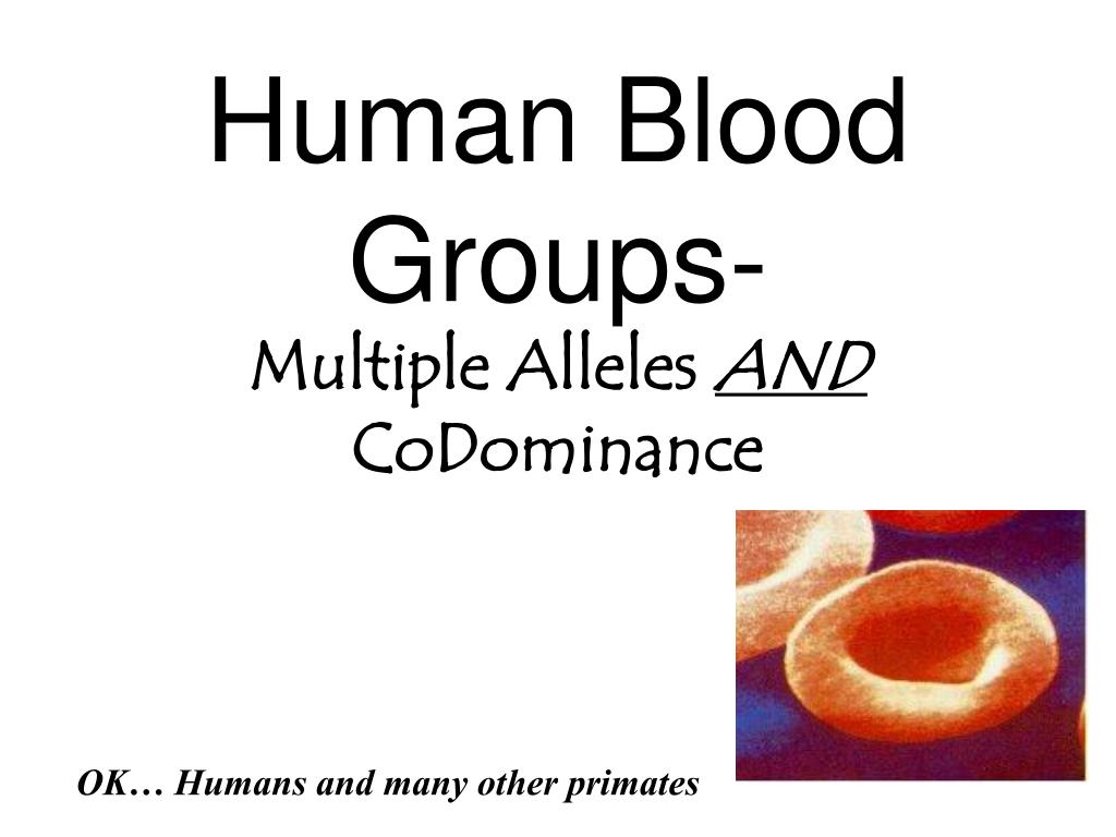 PPT - Human Blood Groups- Multiple Alleles AND CoDominance PowerPoint ...