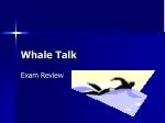 PPT - Gray Whale Migration & Whale Watching PowerPoint Presentation ...