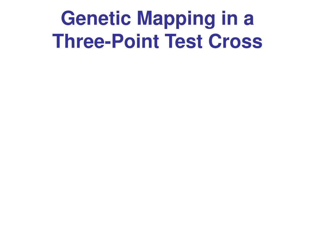 PPT - Genetic Mapping in a Three-Point Test Cross PowerPoint ...