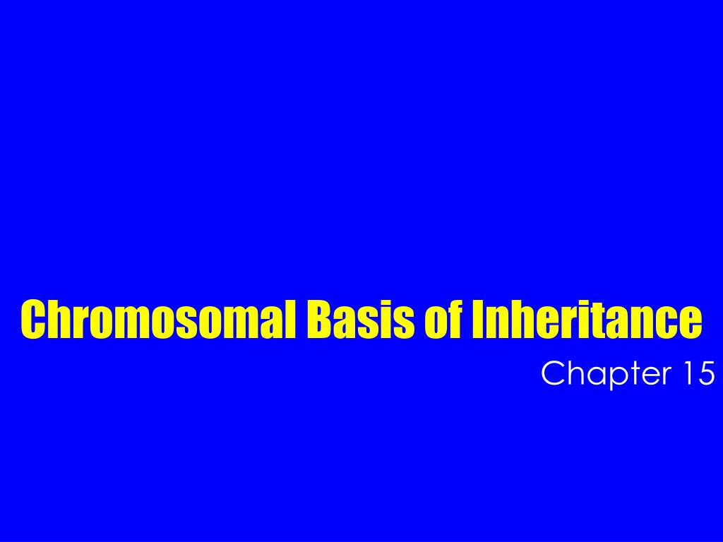 Ppt Chromosomal Basis Of Inheritance Powerpoint Presentation Free